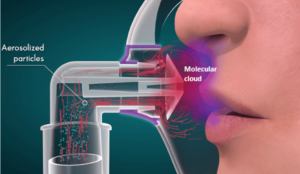 OxyMulti-Mask - Oxy2Mask